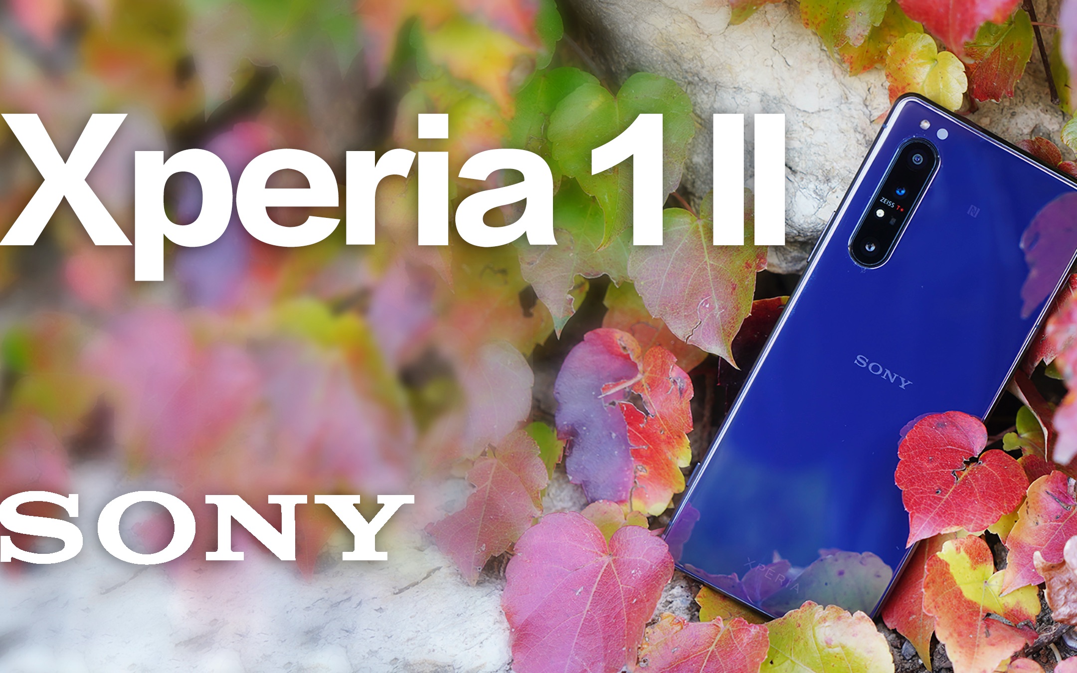 索尼xperia1ii内置壁纸-千图网