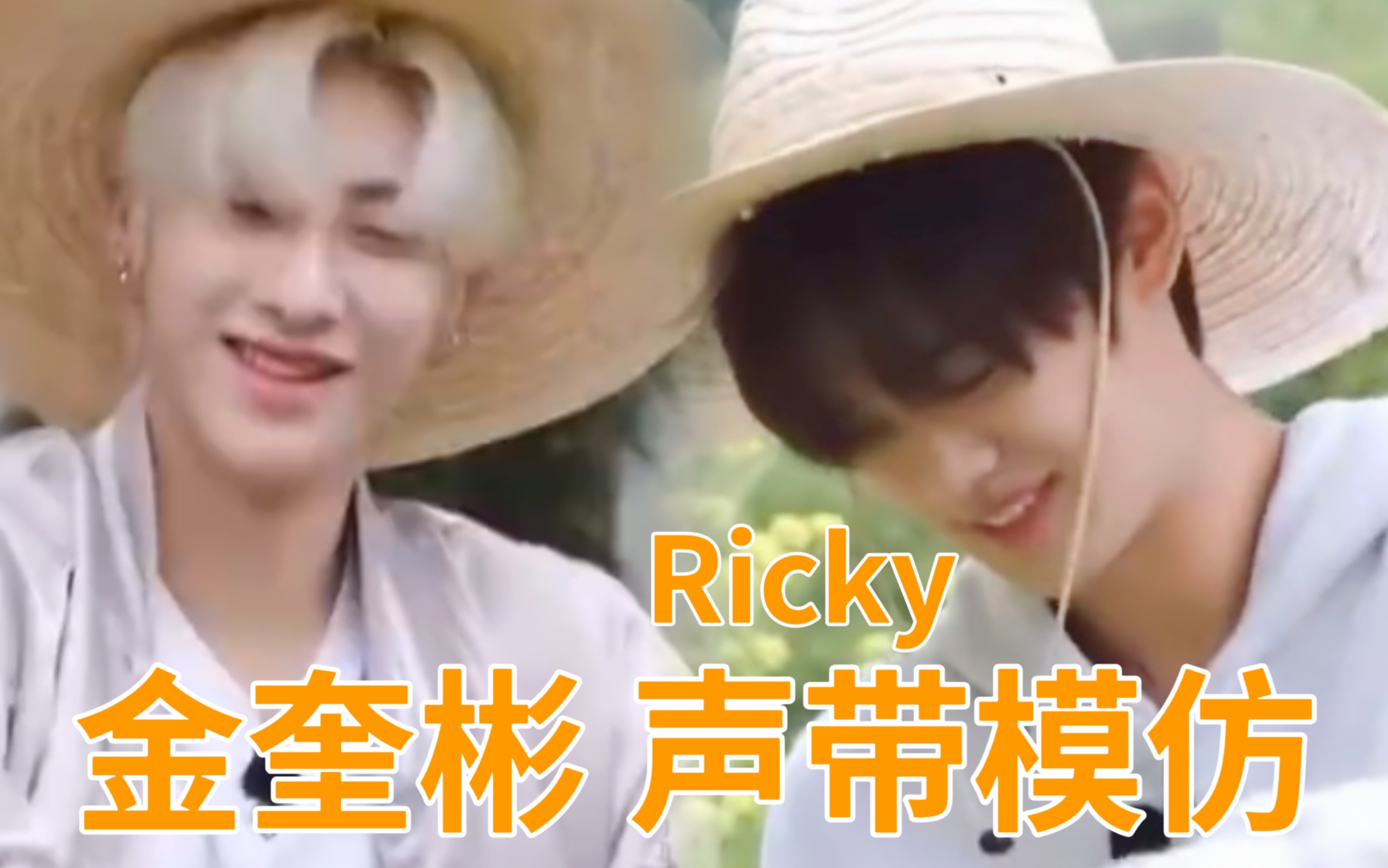 【Ricky×金奎彬】世界上最纯正的猫狗味（中字）
