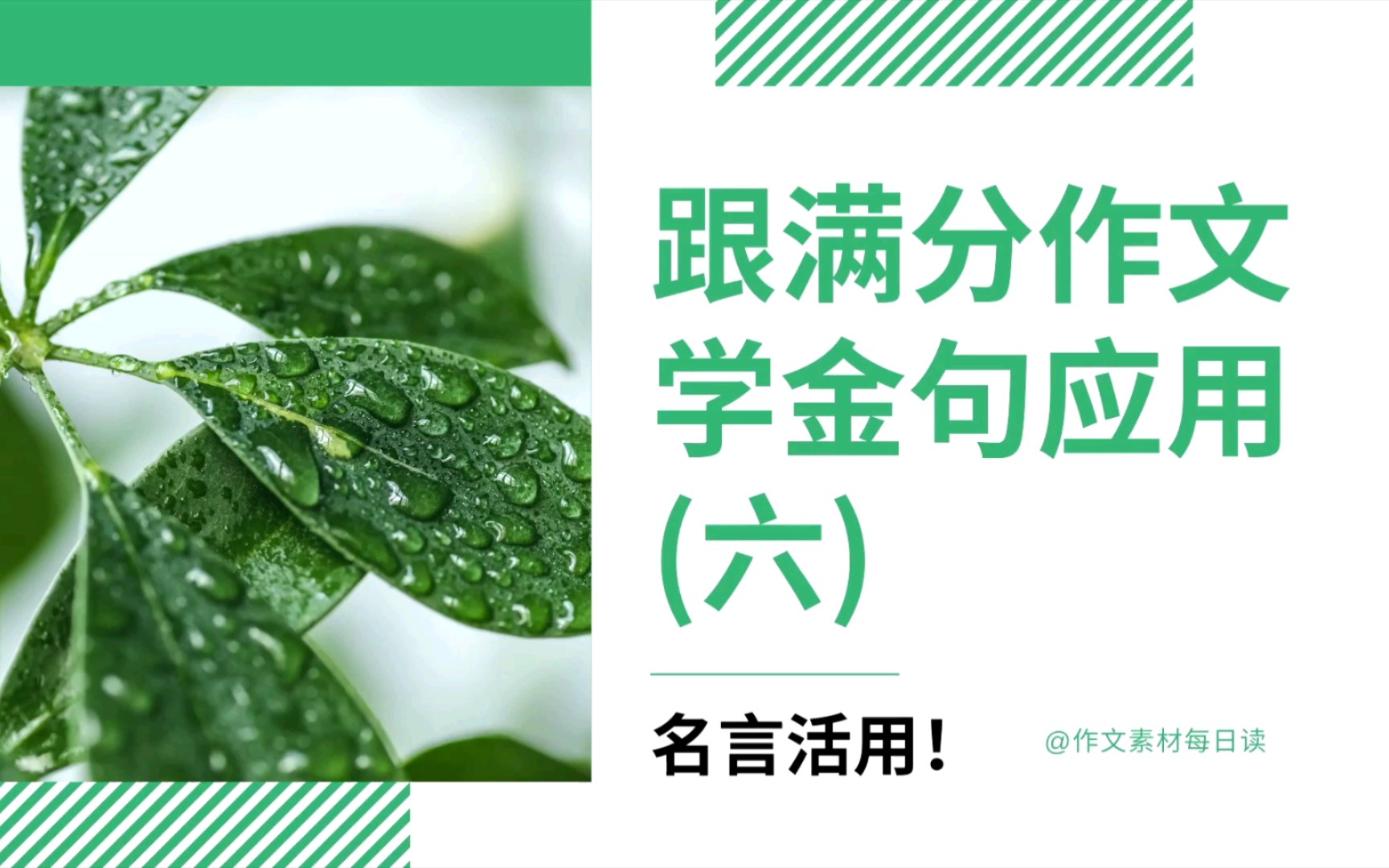 【作文素材配音】名言活用！跟满分作文学金句应用（六） 哔哩哔哩