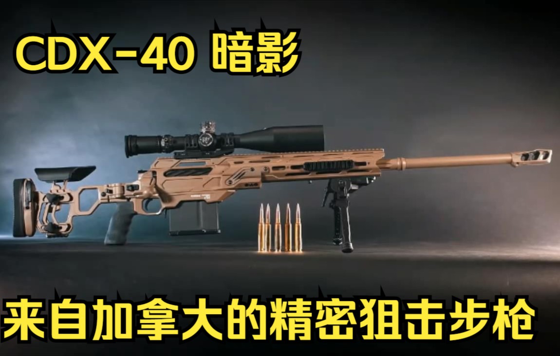 加拿大：CDX-40 shadow精密远程狙击步枪_哔哩哔哩_bilibili