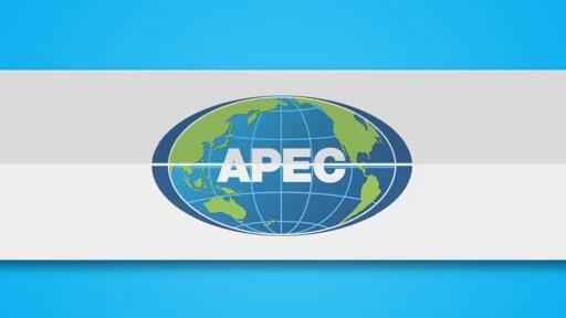 [转载] What is APEC? 英文字幕 - 哔哩哔哩