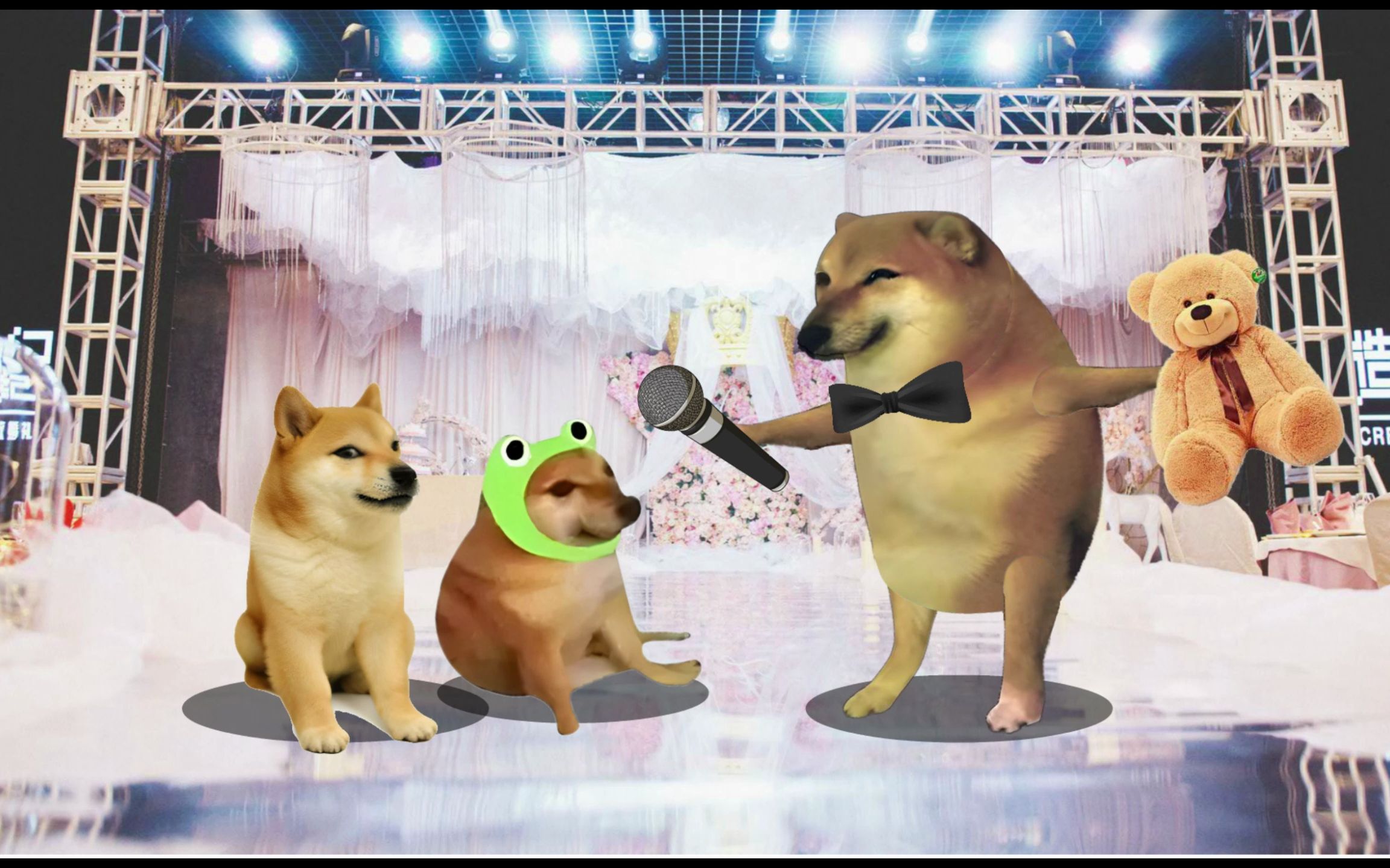 你长大了要娶几个媳妇-cheems小电影-cheems小电影-哔哩哔哩视频