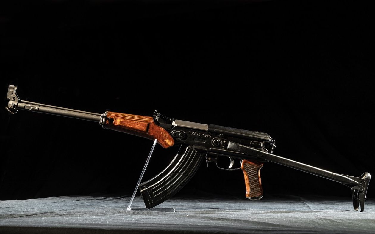 【中文字幕】TKB-517突击步枪——AKM的劲敌_哔哩哔哩_bilibili