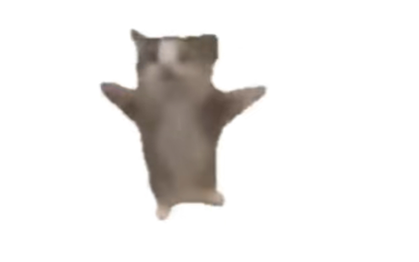 Happy Cat full dance - 哔哩哔哩