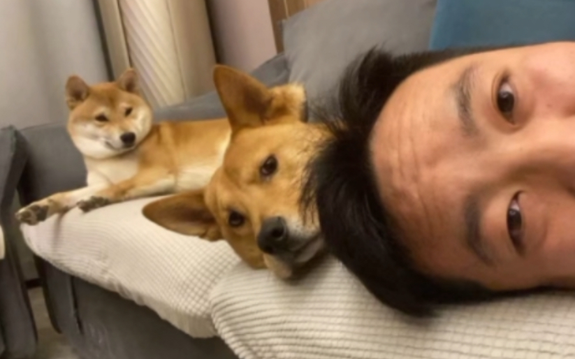 独自在家的男人与狗,狗:真的好烦 哔哩哔哩