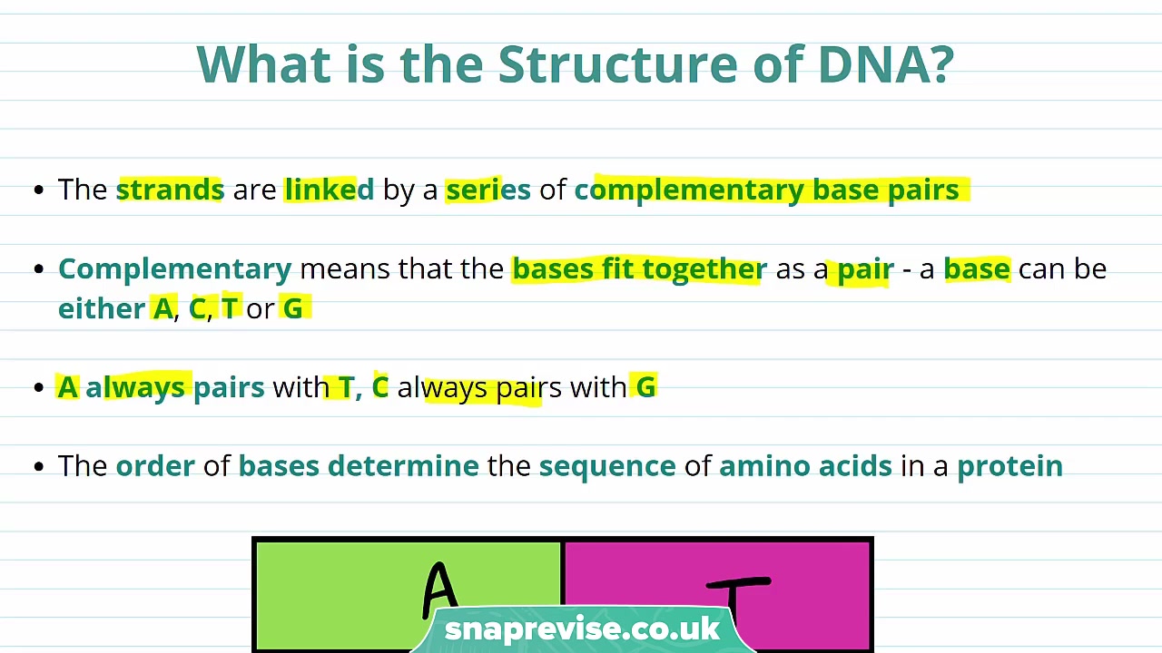38.The Structure of DNA _ 9-1 GCSE Science Biology _ OCR, AQA, Edexcel ...