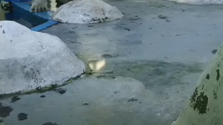 eeewww_哔哩哔哩_bilibili