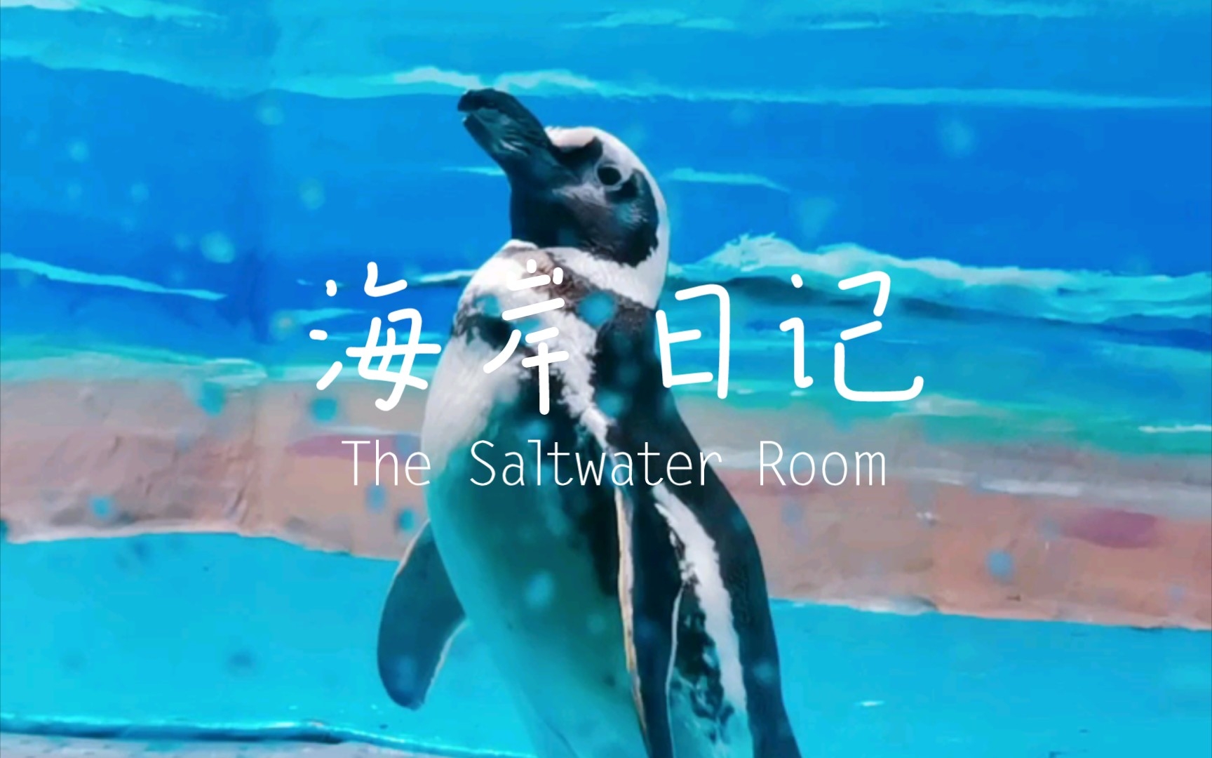 海底世界vlog 丨音乐《The Saltwater Room》Owlci... - 哔哩哔哩
