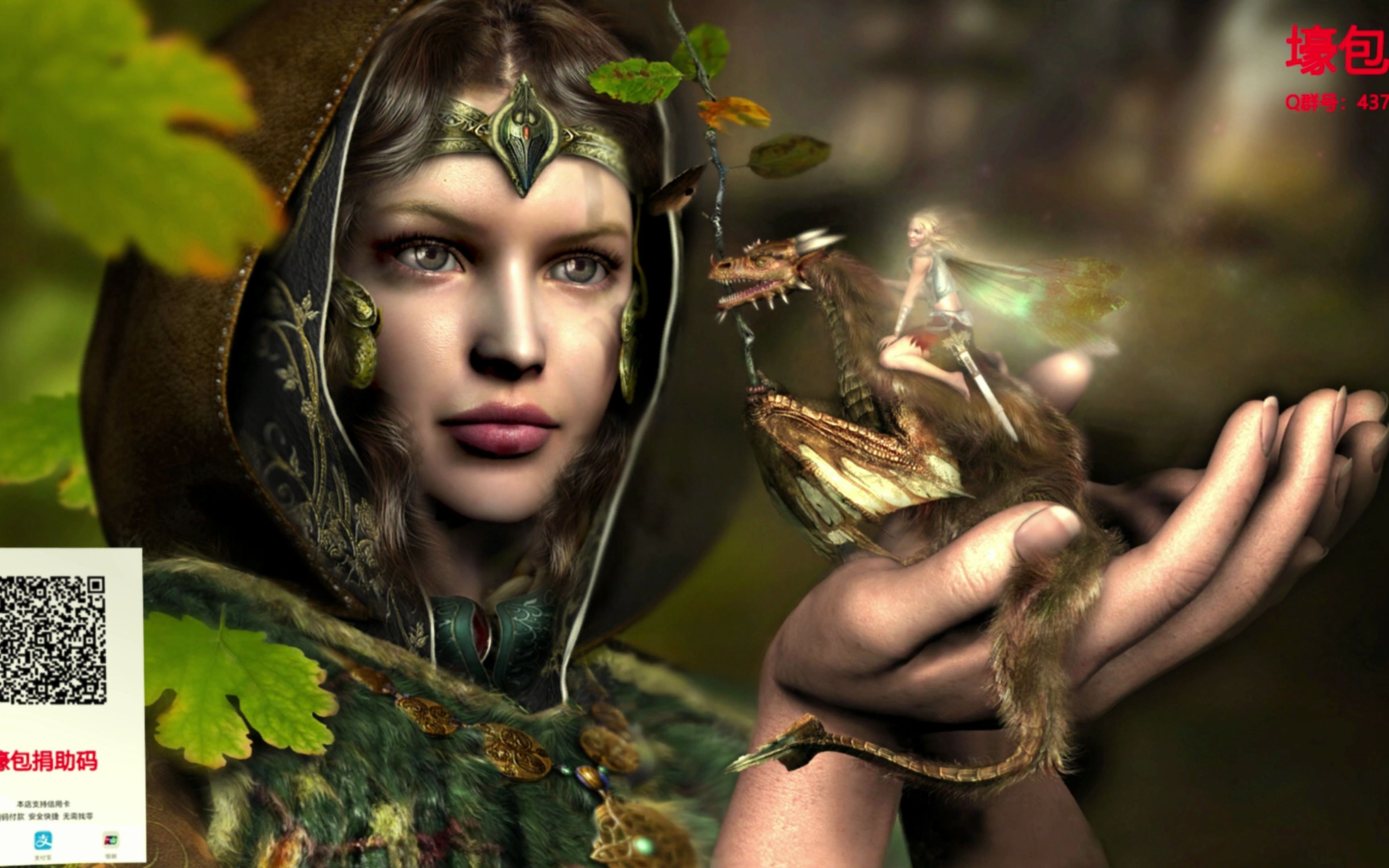 上古卷轴SSE Display Tweaks全屏无边框窗口化拉伸教程_哔哩哔哩bilibili