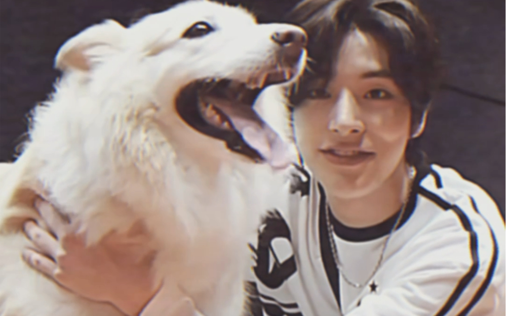 AI沈载伦｜“忘记了吗？你养过狗的。”-Krain__-Krain__-哔哩哔哩视频