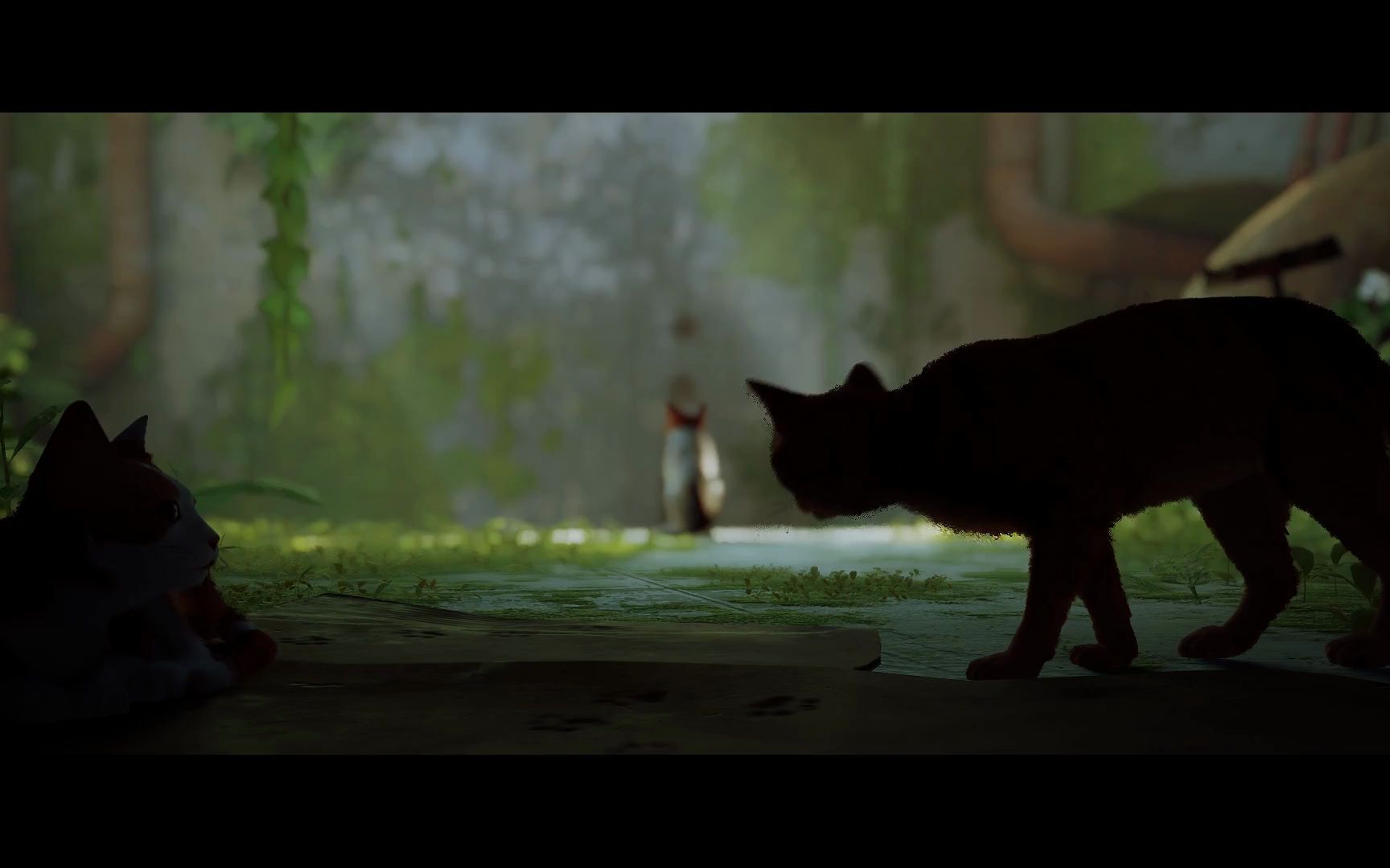 stray-9Q8vf_单机游戏热门视频