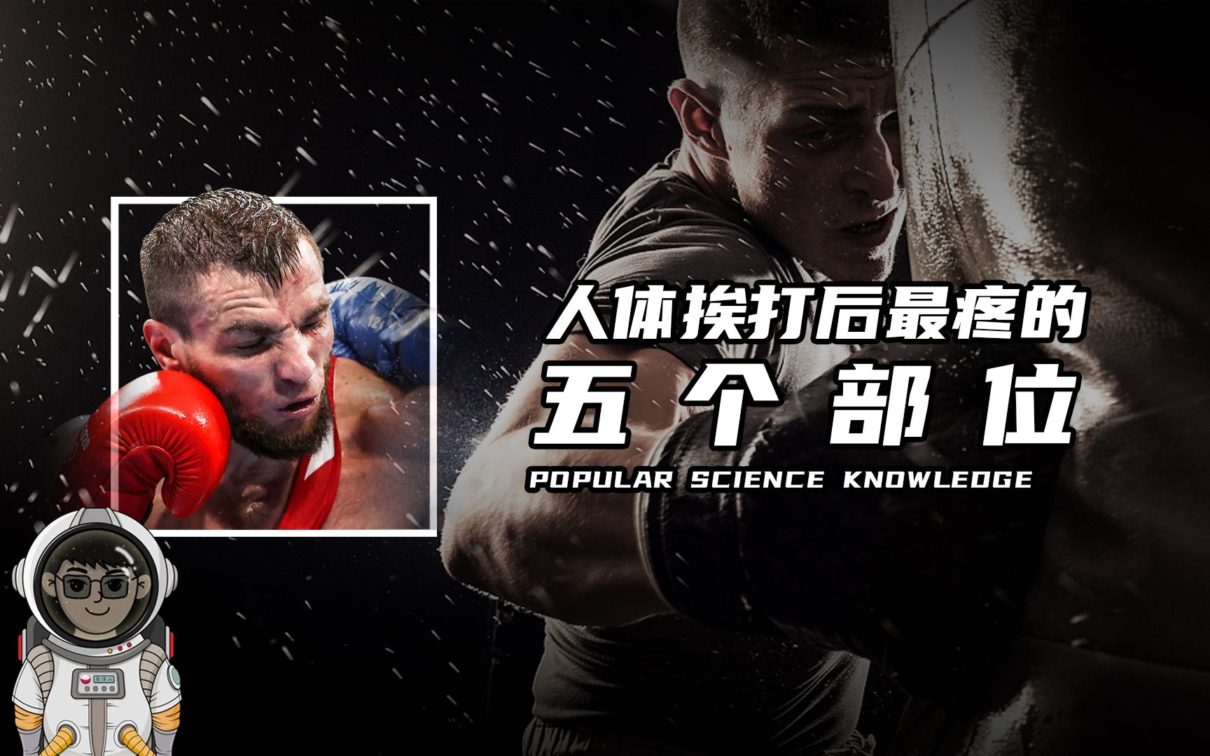 人体挨打后最疼的五个部位,你中招了吗 哔哩哔哩