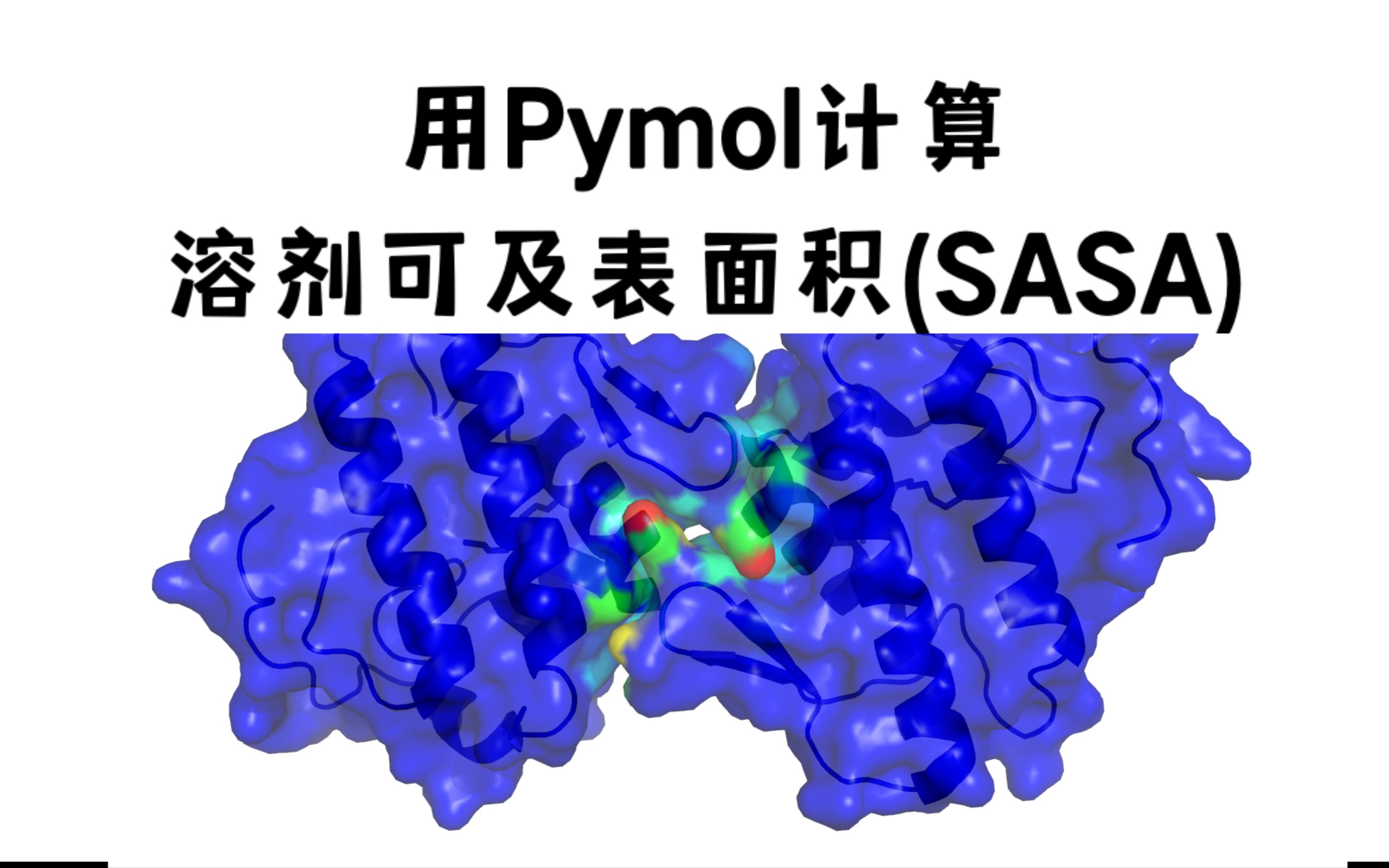 Pymol - 计算溶剂可及表面积(SASA)_哔哩哔哩_bilibili