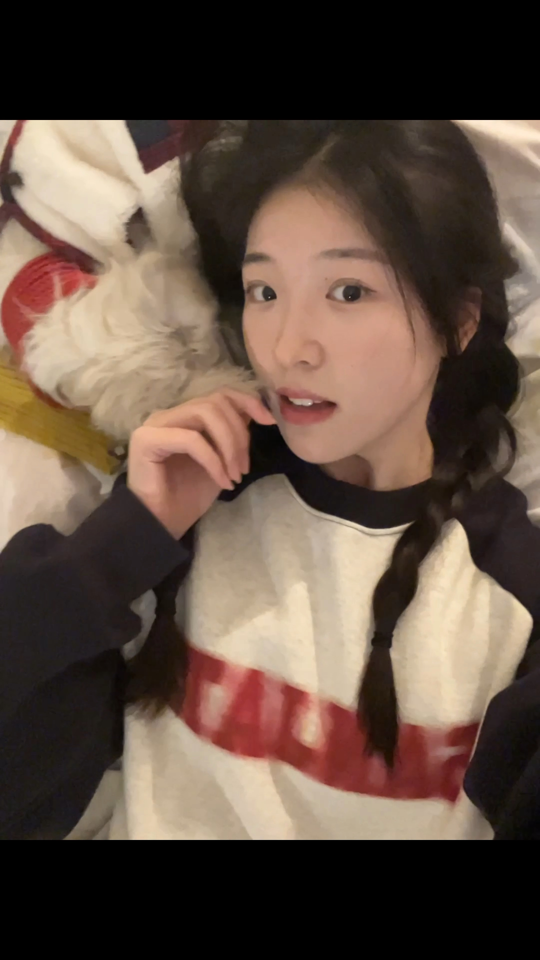 小猪的回收站 哔哩哔哩