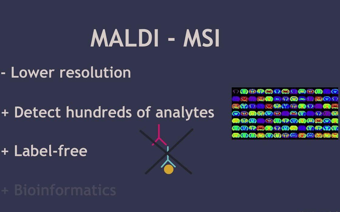 MALDI MSI—基质辅助激光解吸电离质谱成像技术 - 哔哩哔哩