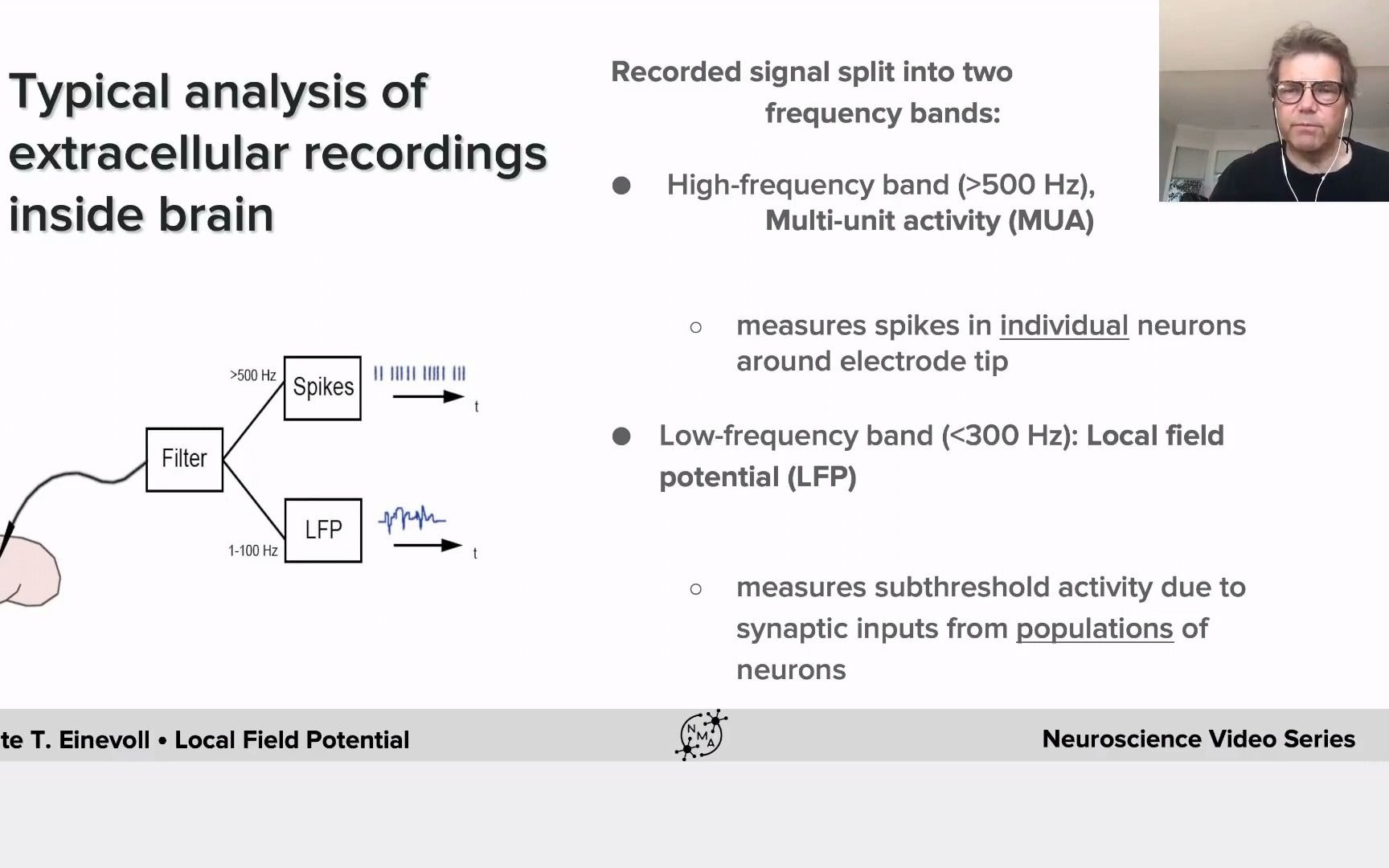 Brain Signals: LFP_哔哩哔哩_bilibili