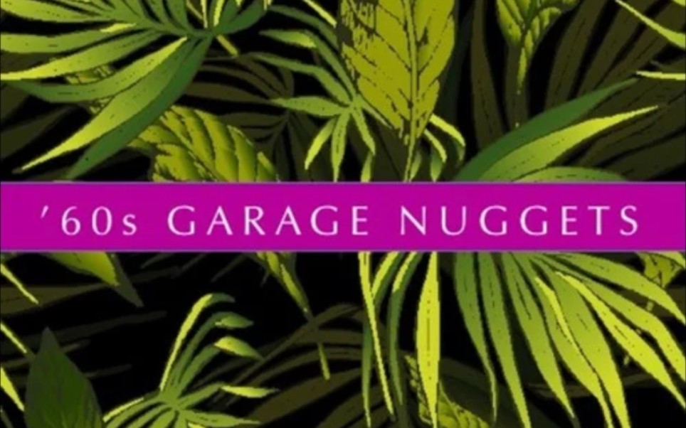 '60s Garage Nuggets XXXIV_哔哩哔哩_bilibili