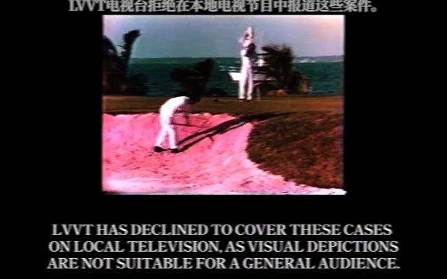 【Liminal Land】调查录像带: 妈咪的朋友 | Investigation Tape - Mommy's Friend