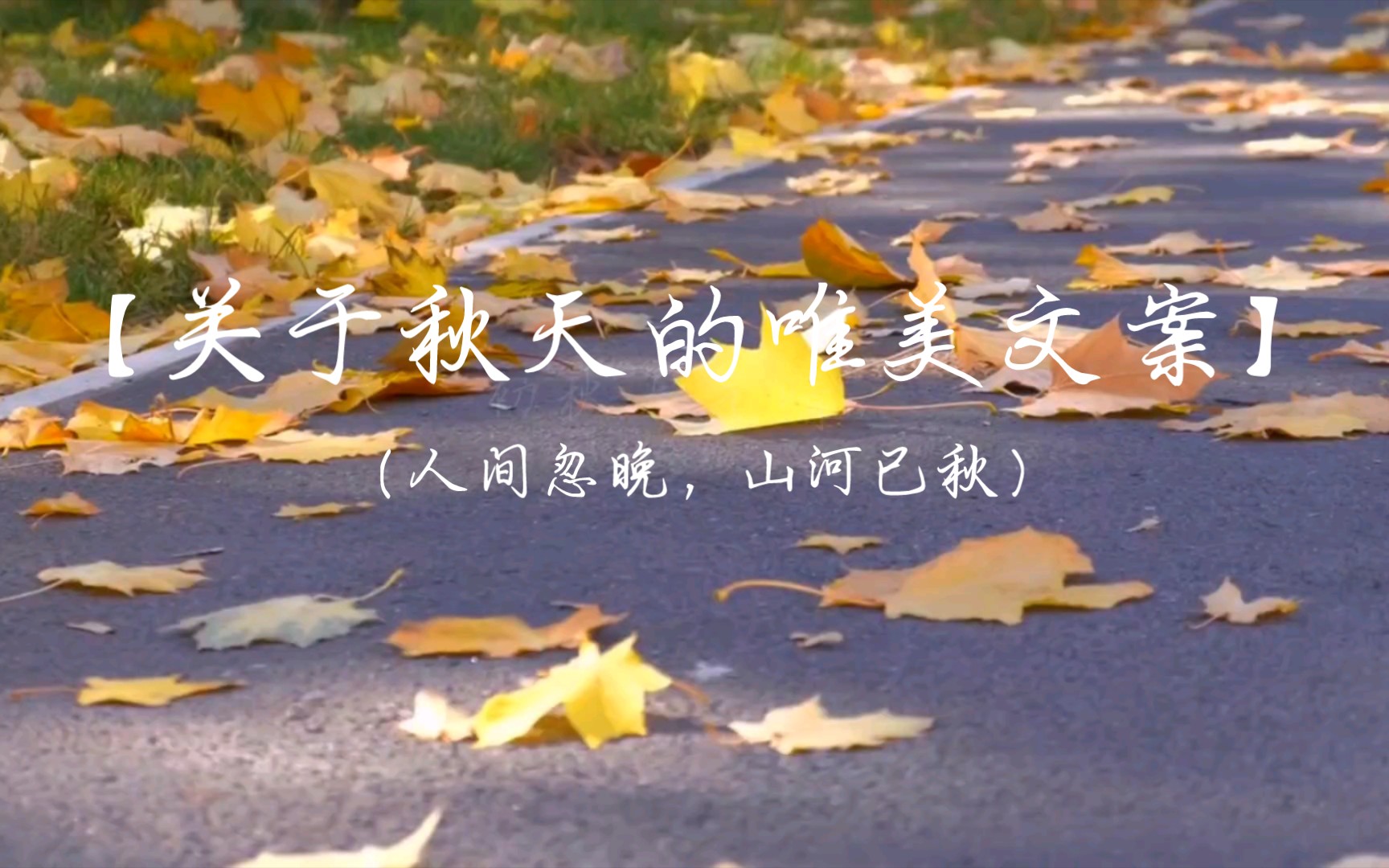 人间忽晚,山河已秋” 【关于秋天的唯美文案】 哔哩哔哩