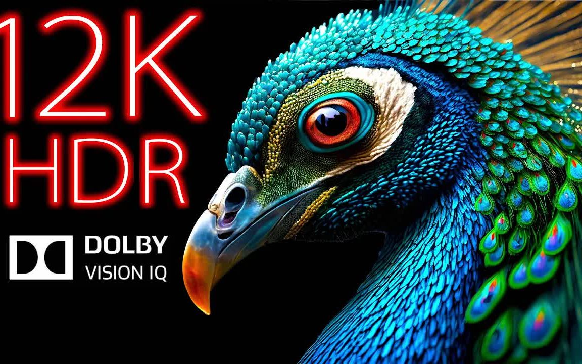 The First 12K HDR 120fps Dolby Vision - 视频下载 Video Downloader