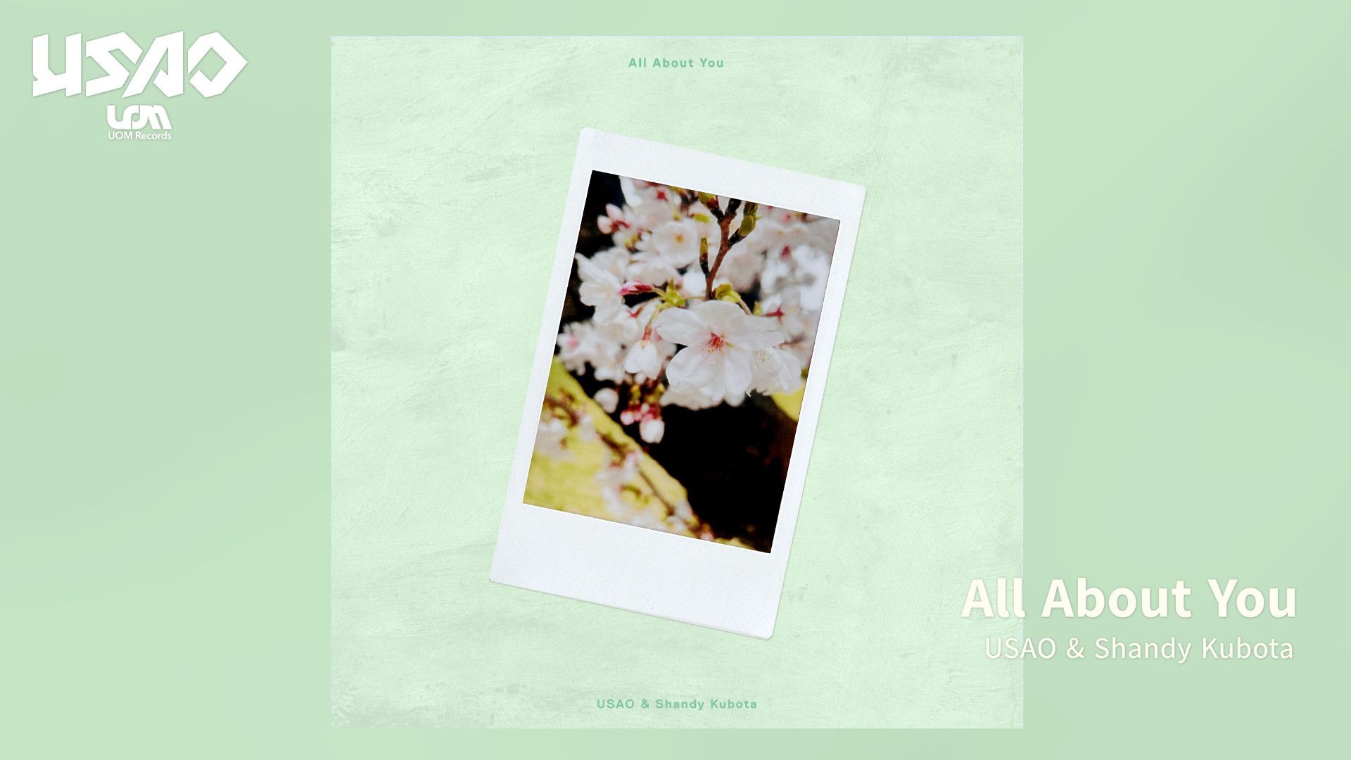 USAO - USAO ULTIMATE HYPER MEGA MIX-茱莉亚与知更鸟-音律联觉-哔哩哔哩视频