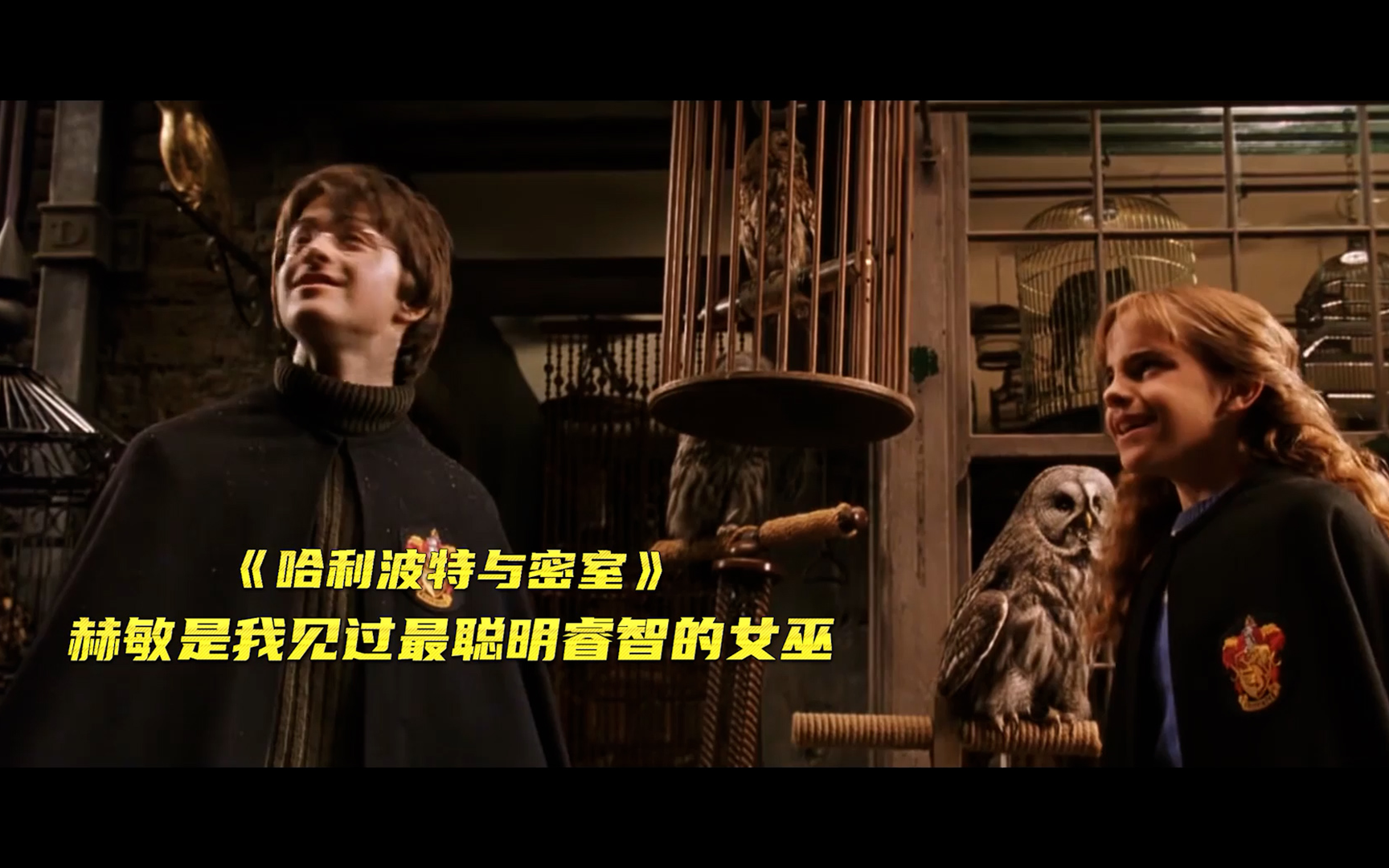 哈利·波特与密室精彩看点11-电影-高清正版在线观看-bilibili-哔哩哔哩