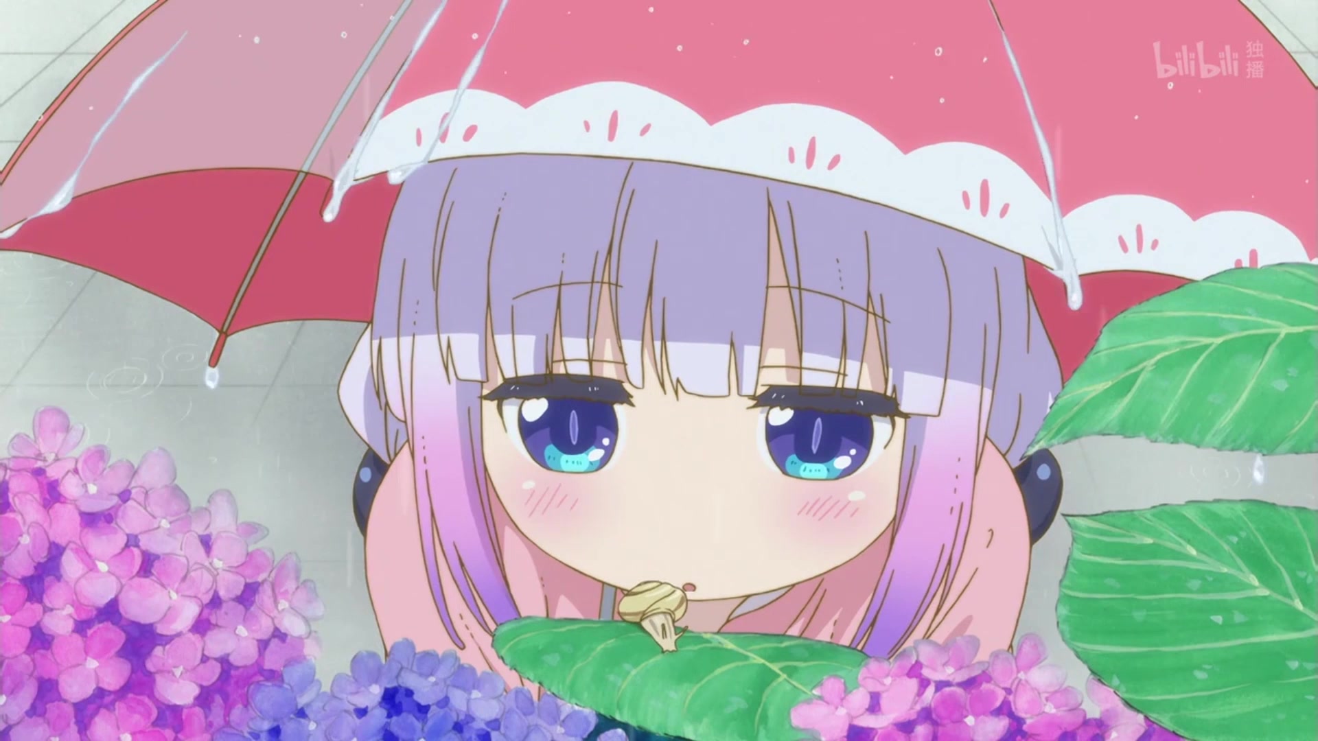 康娜酱太可爱啦!awsl !_哔哩哔哩 (゜-゜)つロ 干杯~-bilibili