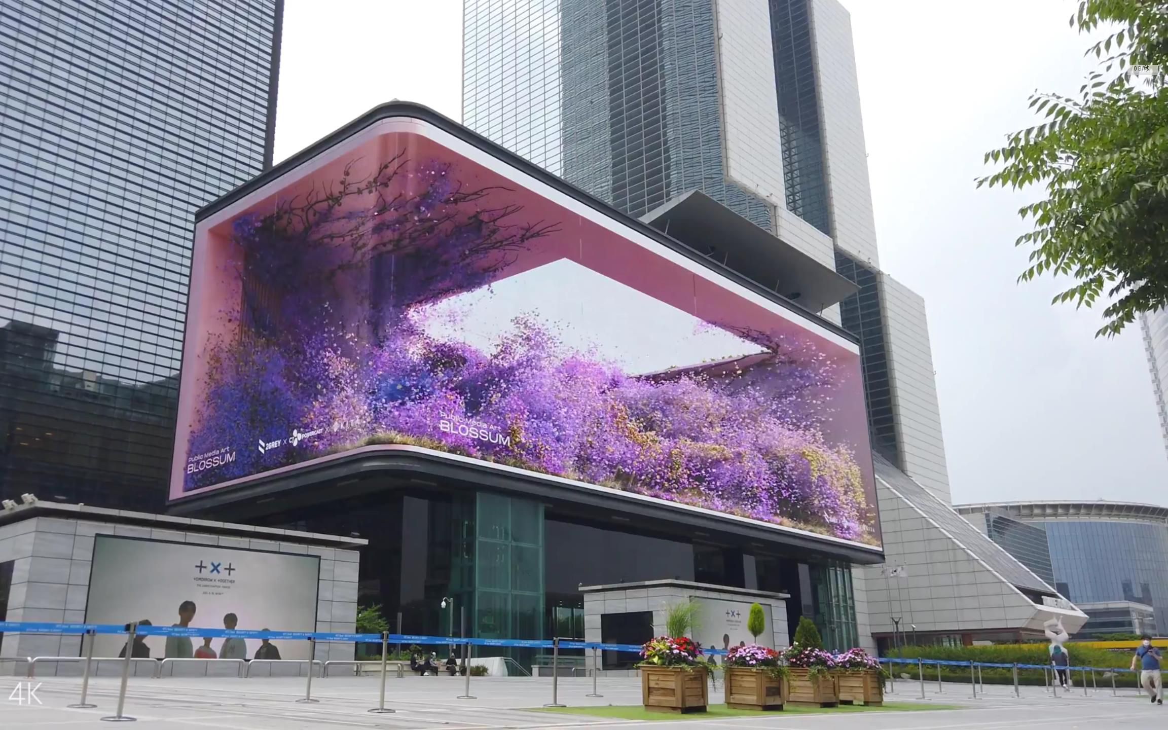 【分享】首尔裸眼3D屏 - Coex Artium Public Media Art 'BLOSSUM'_哔哩哔哩_bilibili