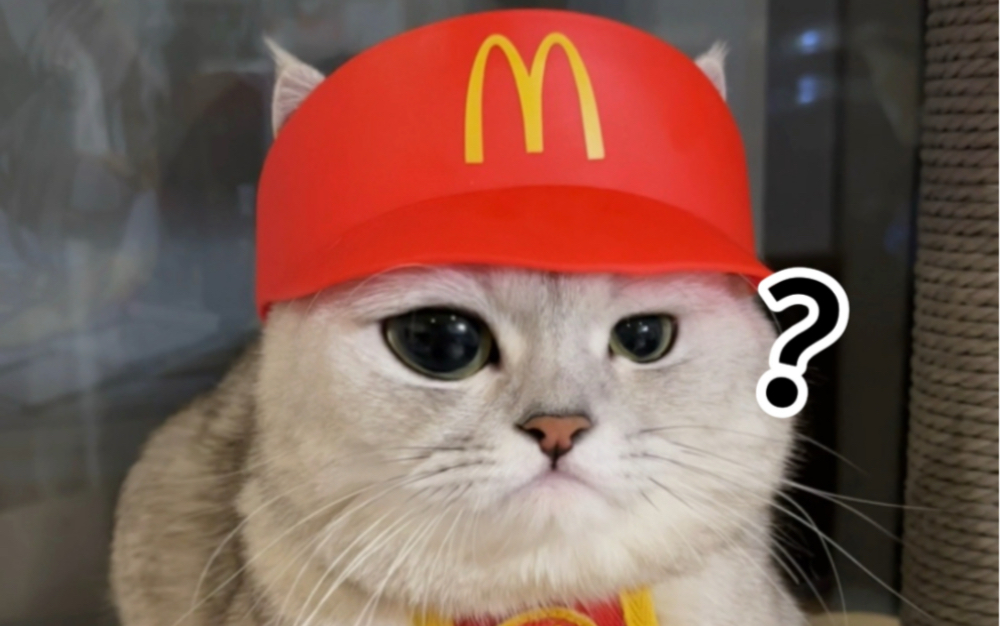 介是尊嘟假嘟？-迷你猫张嘟嘟-迷你猫张嘟嘟-哔哩哔哩视频