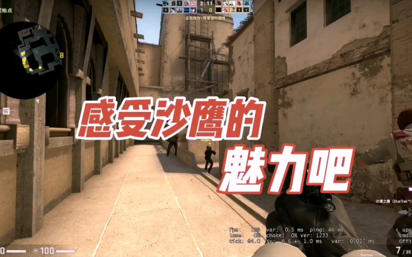 感受沙鹰的魅力吧_哔哩哔哩_bilibili