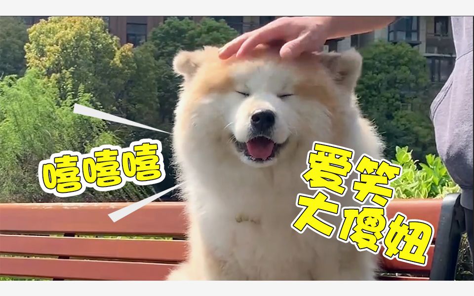 【悠酱日常】猜猜小悠酱最喜欢外公还是最喜欢外婆吖~_哔哩哔哩_bilibili