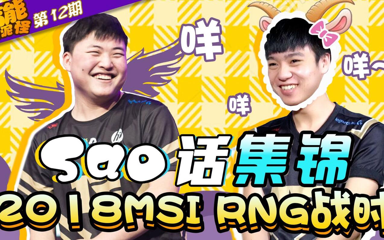 高能软泥怪：第12期 RNG的MSI战时Sao话集锦 - 哔哩哔哩