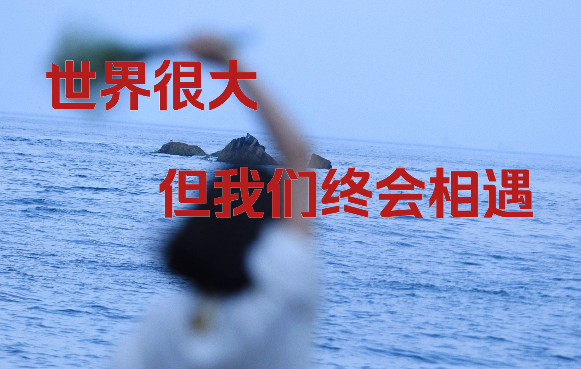 读懂《蒹葭》丨所谓伊人,在水一方 哔哩哔哩