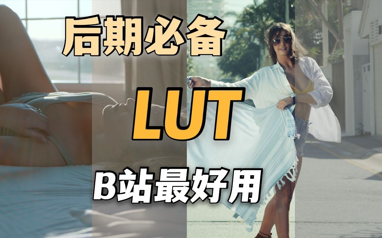 白嫖b站最全lut包!视频一键调色的秘密内附教程! 哔哩哔哩