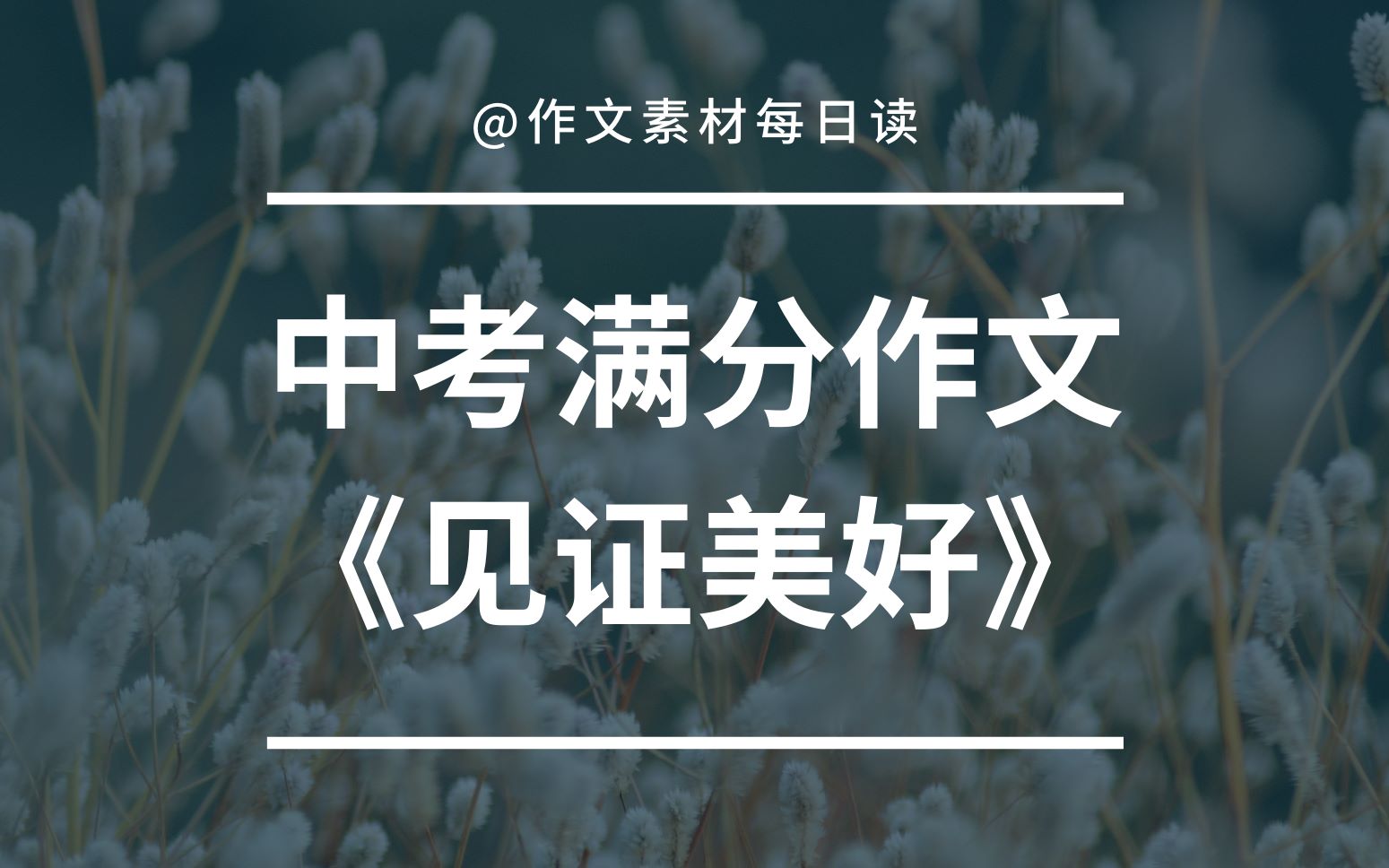 【作文素材配音】中考满分作文：见证美好高中、初中、高考、中考必备作文写作 哔哩哔哩
