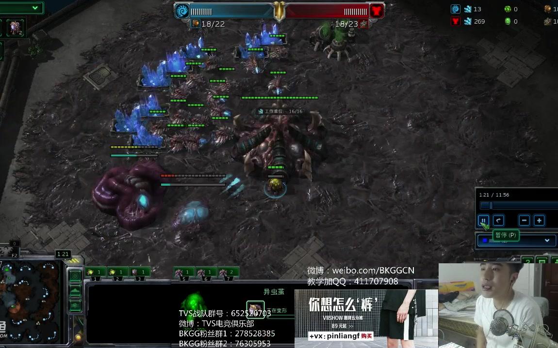 牌面虫族BKGG解说:防狗_哔哩哔哩_bilibili