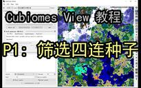 mc种子查找工具cubiomes-viewer使用实例 - 哔哩哔哩