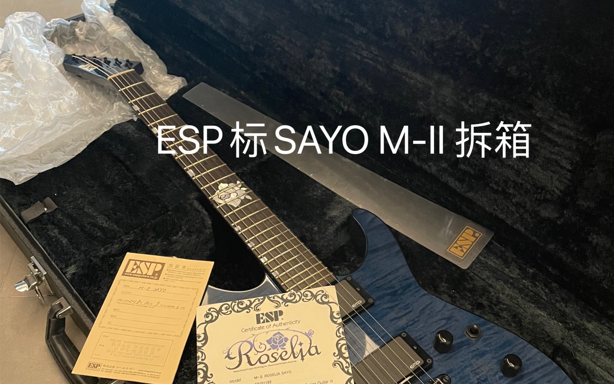 ESP标SAYO M-II 开箱 - 视频下载 Video Downloader