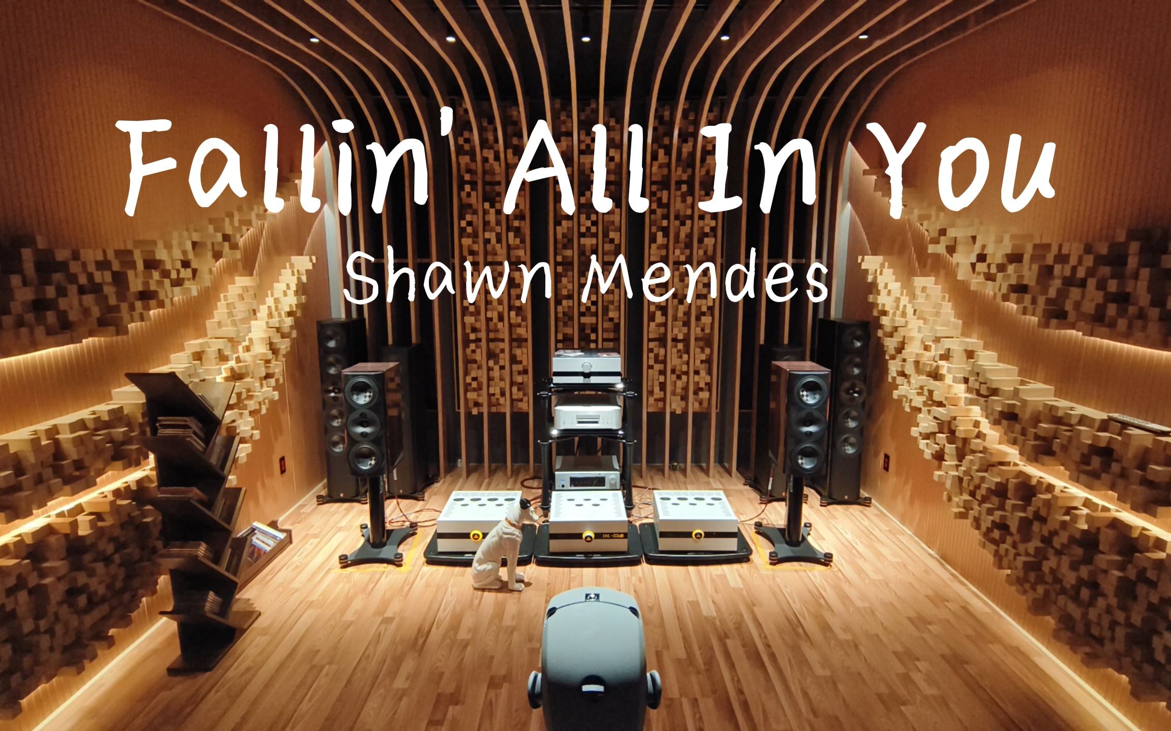 《Fallin' All In You》——Shawn Mendes【人头录音-置身现场】【Hi-Res】-听音乐的小狗-听音乐的小狗-哔哩哔哩视频