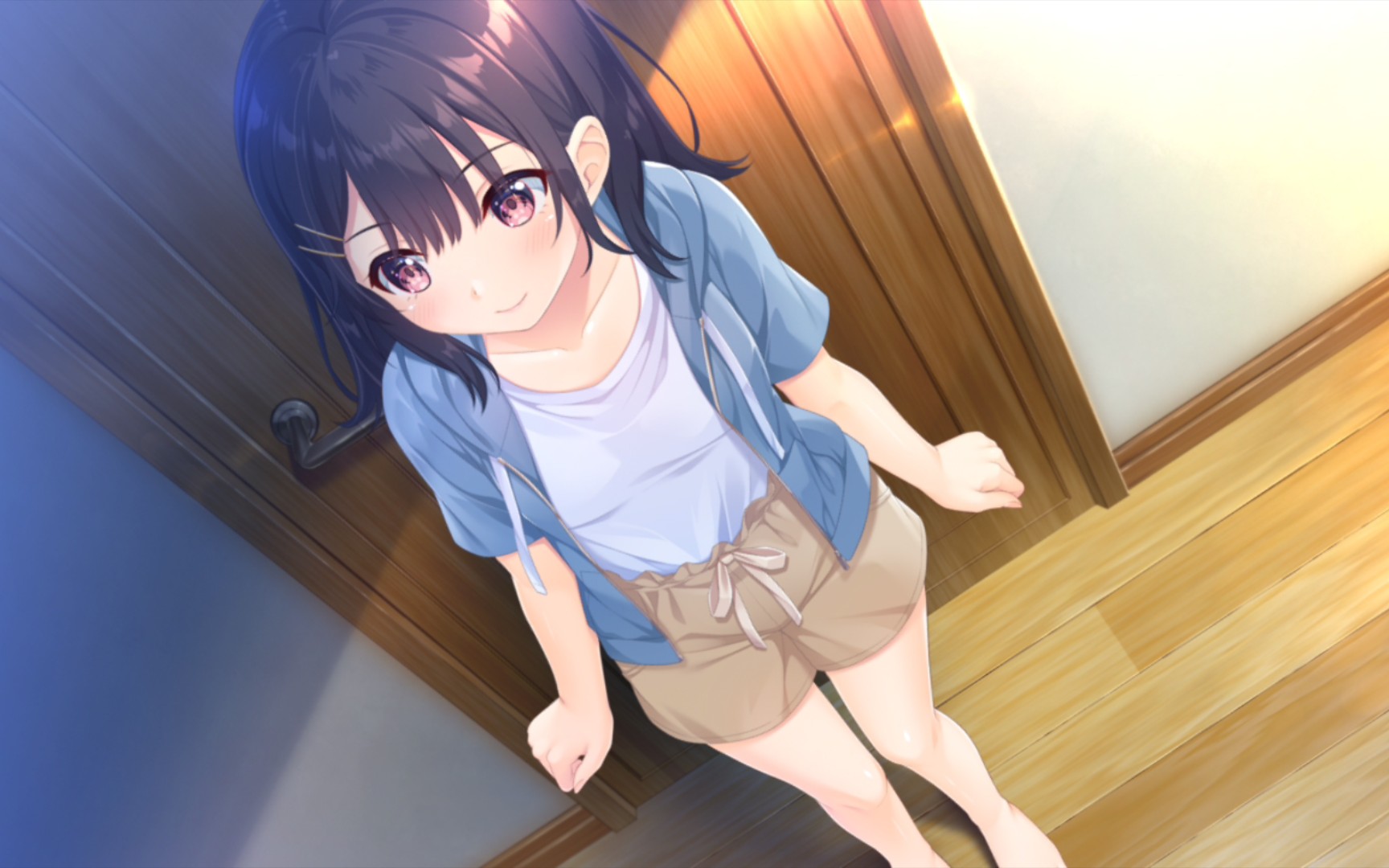 【galgame/妹系佳作】无法忍耐的哥哥与不直率的叛逆妹妹（pc+kr） - 视频下载 Video Downloader