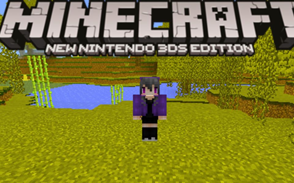 【3DS版】 Minecraft 3ds 更改着色器的初步尝试_哔哩哔哩bilibili_我的世界