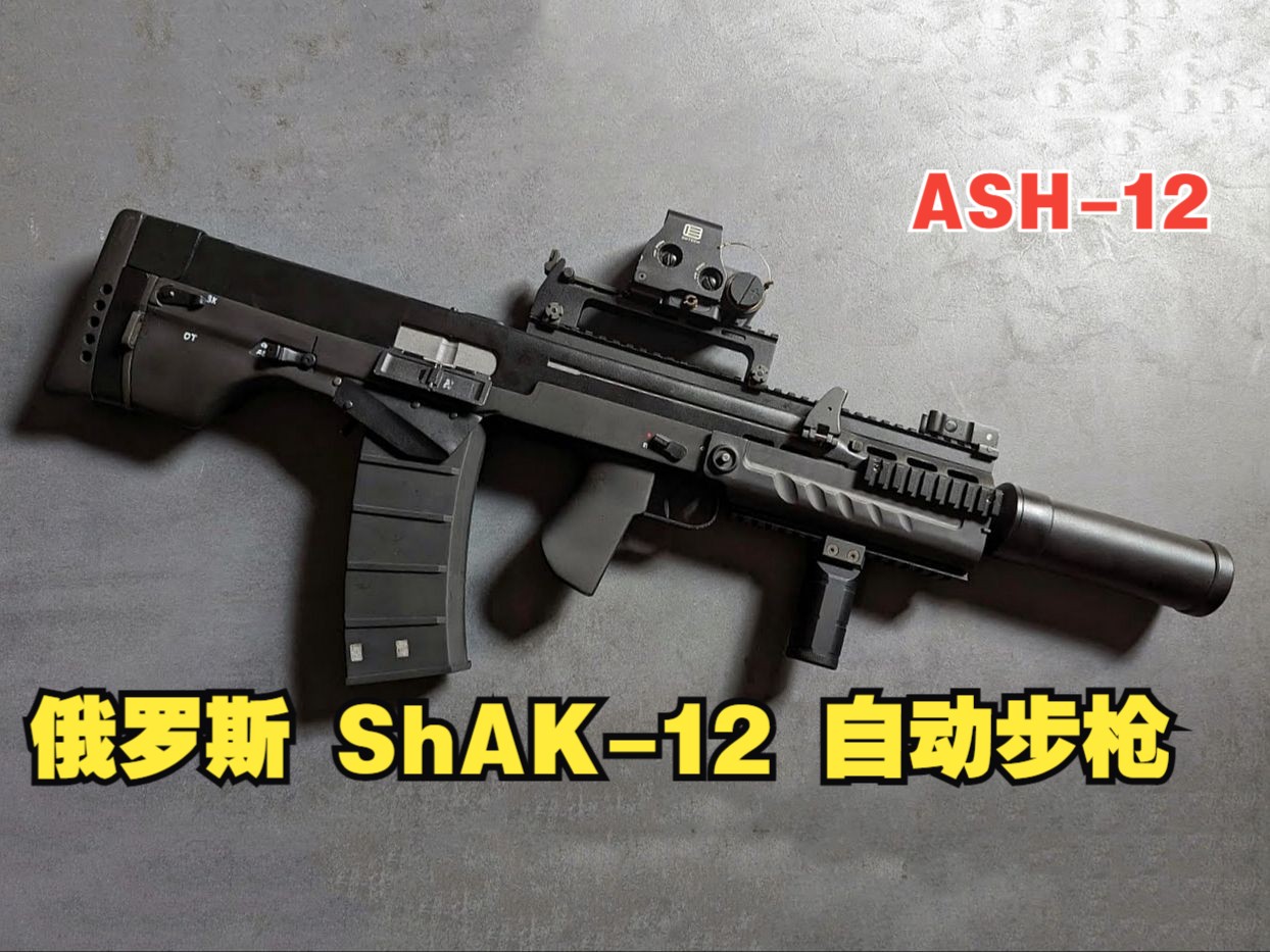 什么！12.7mm的突击步枪、而且还是全自动的？俄罗斯ShAK-12/ASH-12.7mm自动突击步枪-枪炮下士-枪炮下士-哔哩哔哩视频