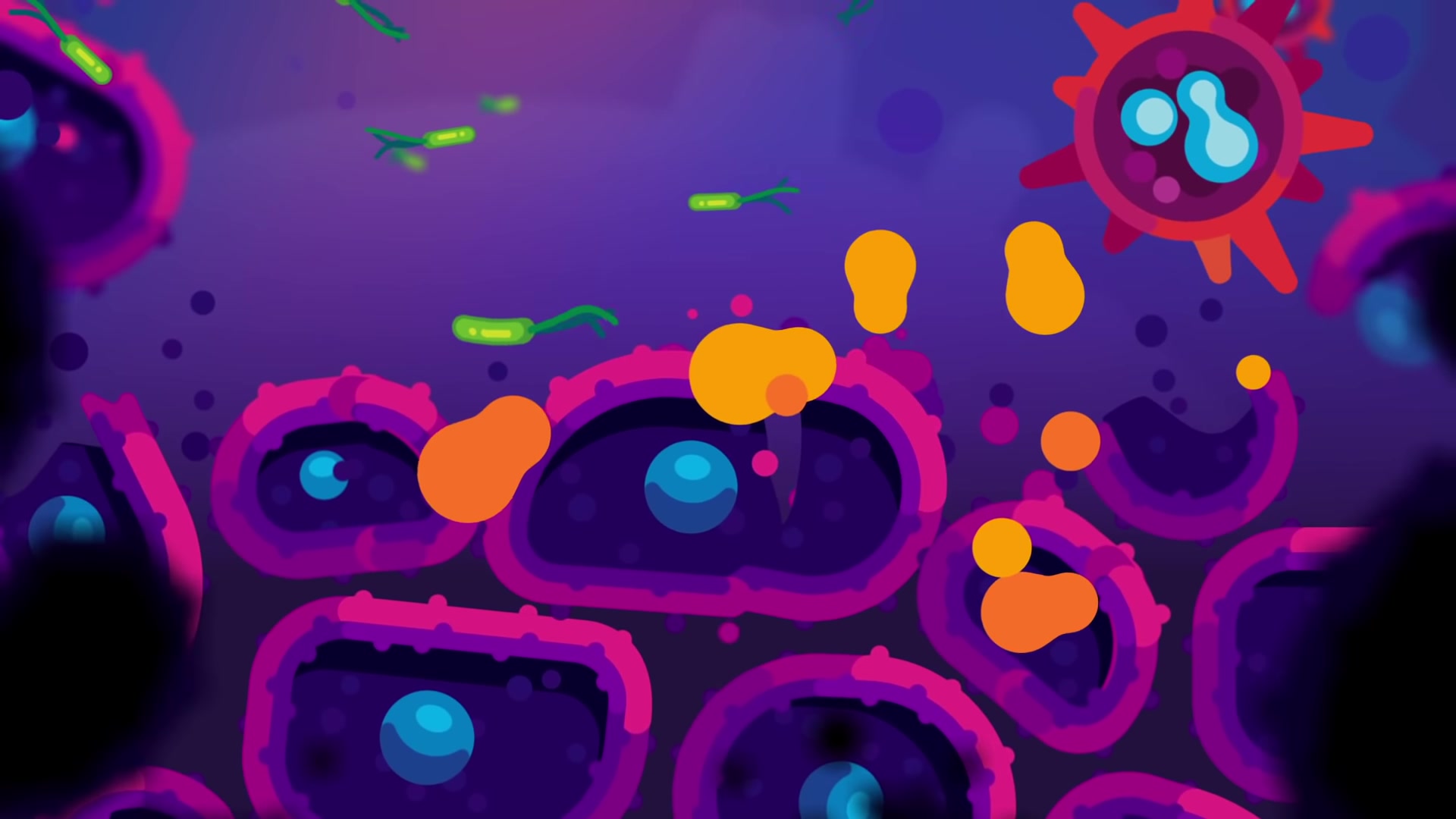 How the Immune System Works.pdf - 微盘下载 - 小不点搜索