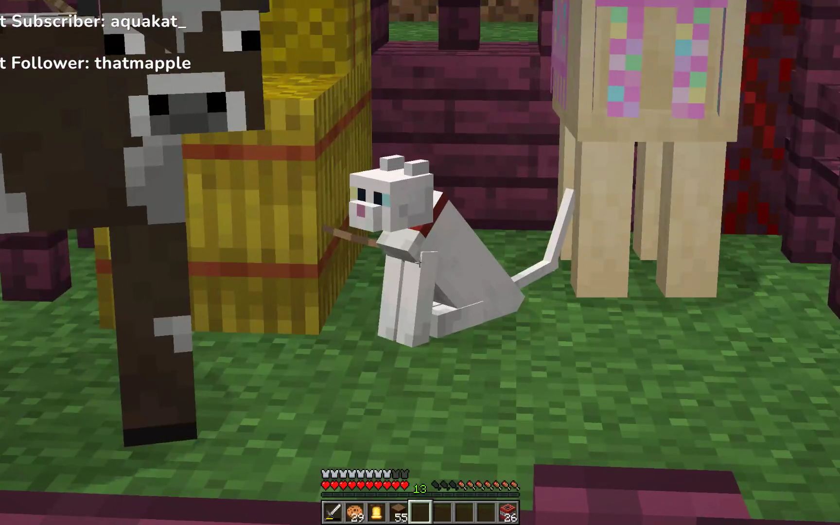 (生肉)【Dropsbyponk】Hoppy new Year! - Dream SMP & chill(完全录播)_我的世界