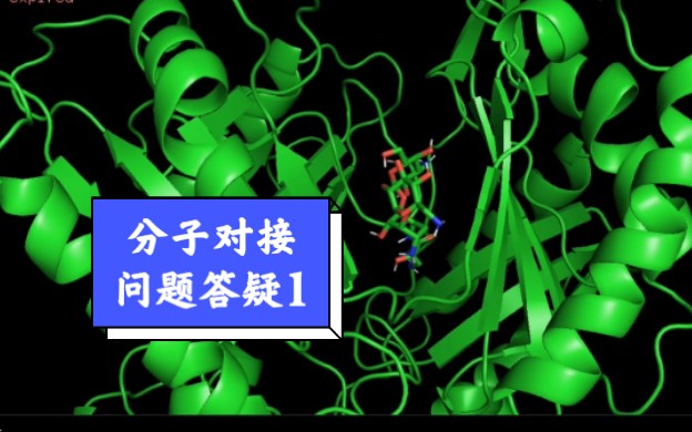 分子对接-问题答疑(1)/autogrid box选取_哔哩哔哩_bilibili