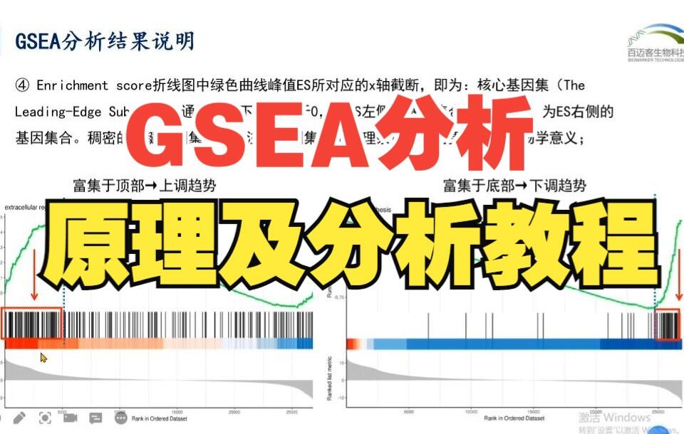 GSEA分析原理及流程方法【百迈客生物】 - 哔哩哔哩