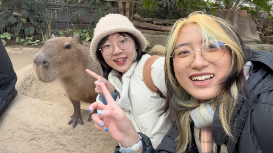Japan Vlog02｜BE KOBE｜在神户度过的美好一天-quokkaro-quokkaro-哔哩哔哩视频
