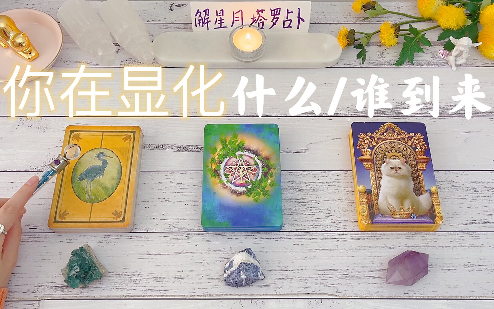 你在显化什么谁到来～宇宙给你的显化讯息重要建议塔罗占卜 哔哩哔哩