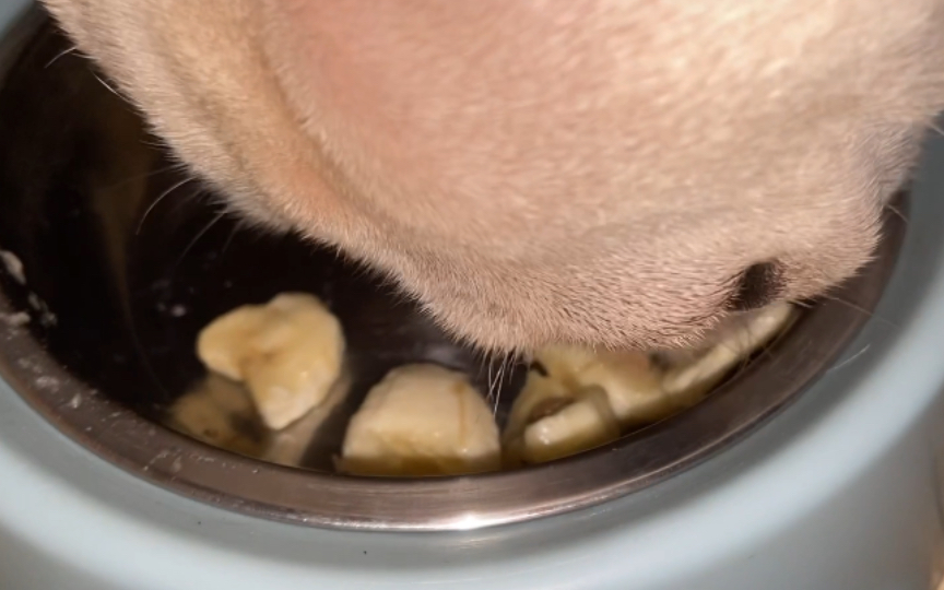 最近胖了，盘个香蕉减肥餐_哔哩哔哩_bilibili