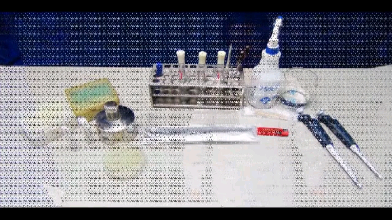 细菌生理生化鉴定API-20NE_哔哩哔哩_bilibili